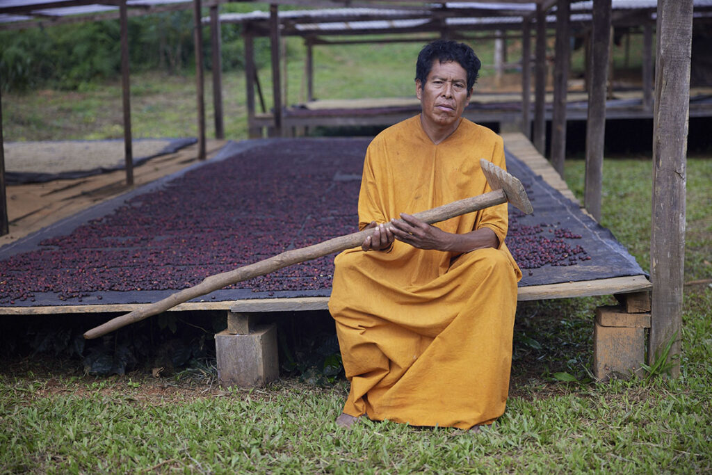 The eco-coffee that preserves native forest and improves the lives of ...