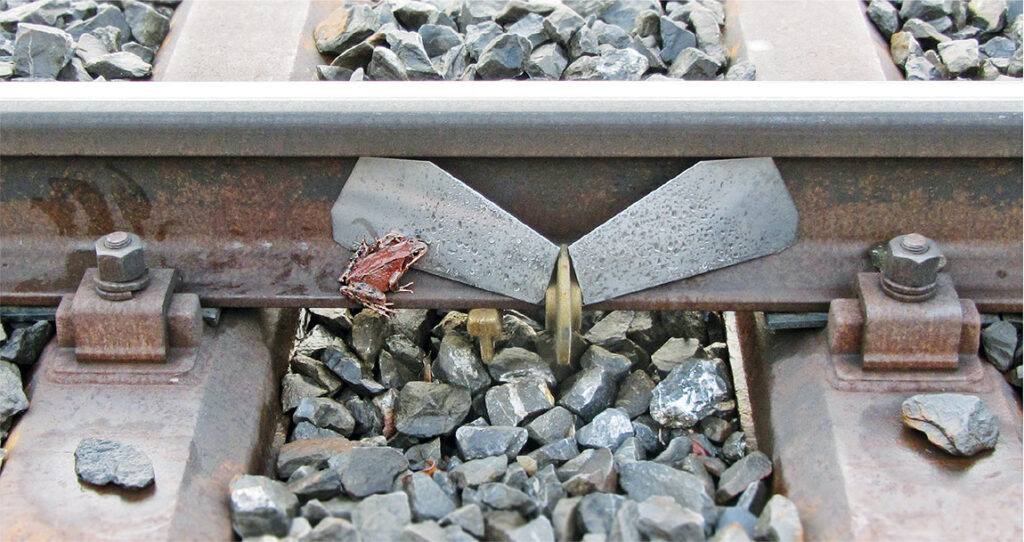 Locking in carbon along rail tracks throughout Europe